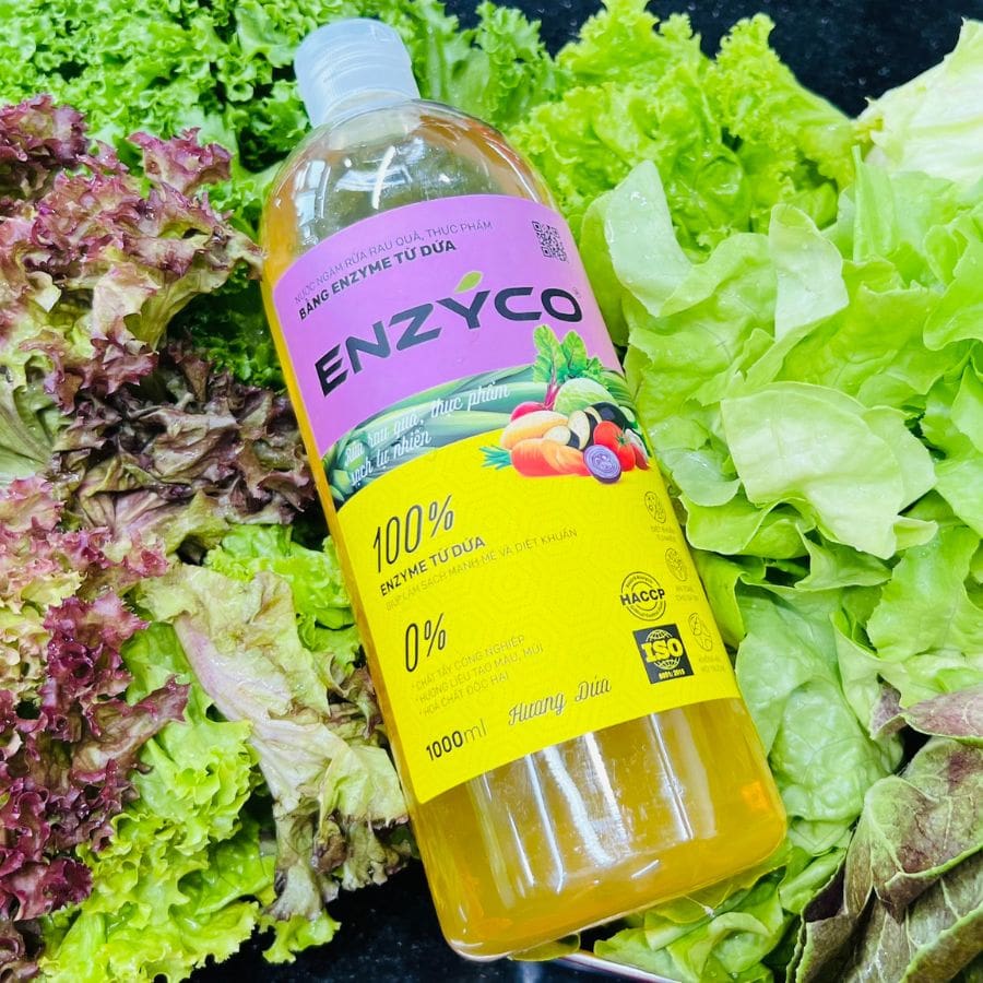 Nước Ngâm Rau Củ - enzyco