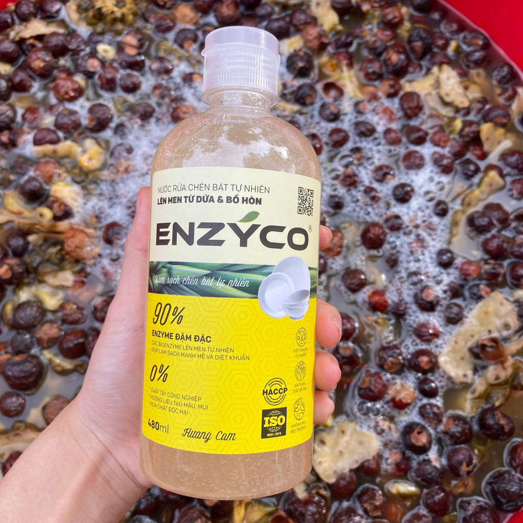 Nước Rửa Bát - enzyco